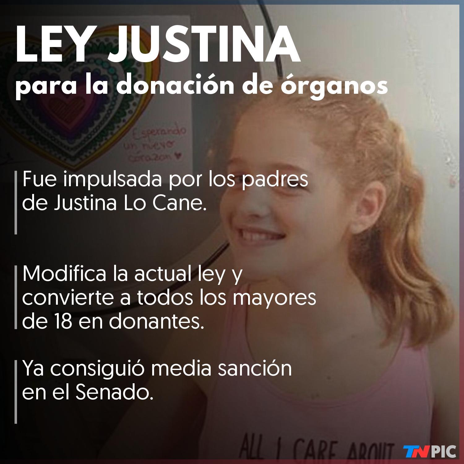 Ley Justina Cómo Es El Proyecto Aprobado Por El Senado Que Nos